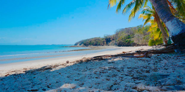 tambor - Properties in Costa Rica Blog