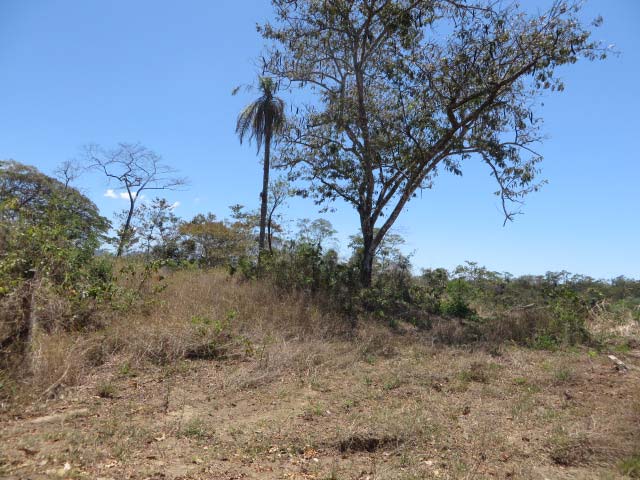 Amazing 3 hectare plot of land with ocean views inside a development ...