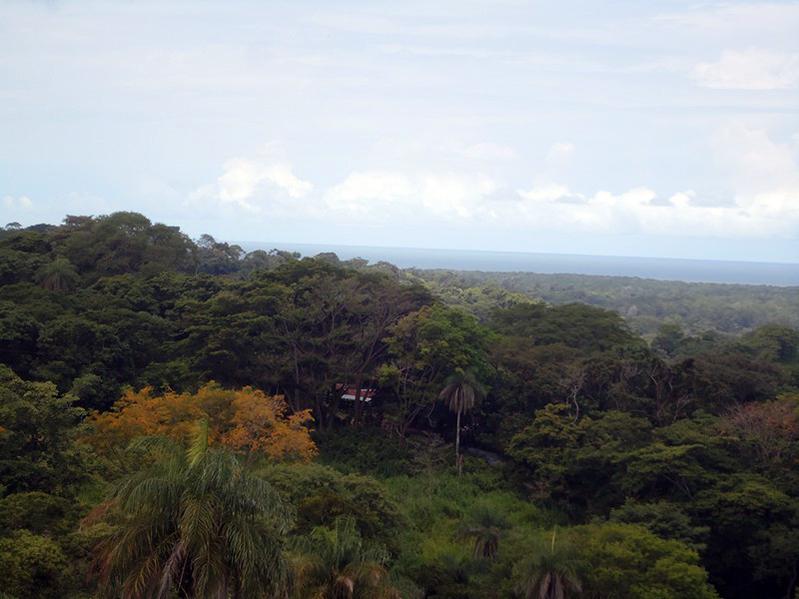 Ocean View Acreage ID 2481